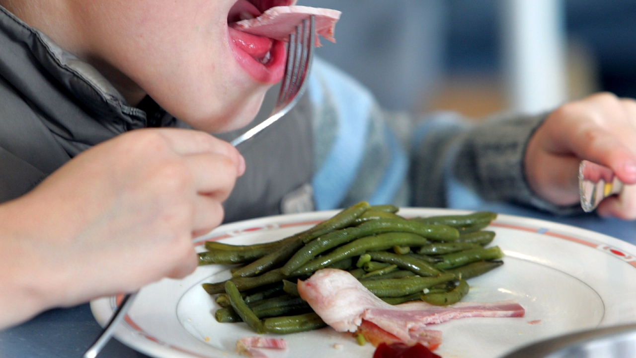 Kræsne småbørn - Patienthåndbogen på sundhed.dk