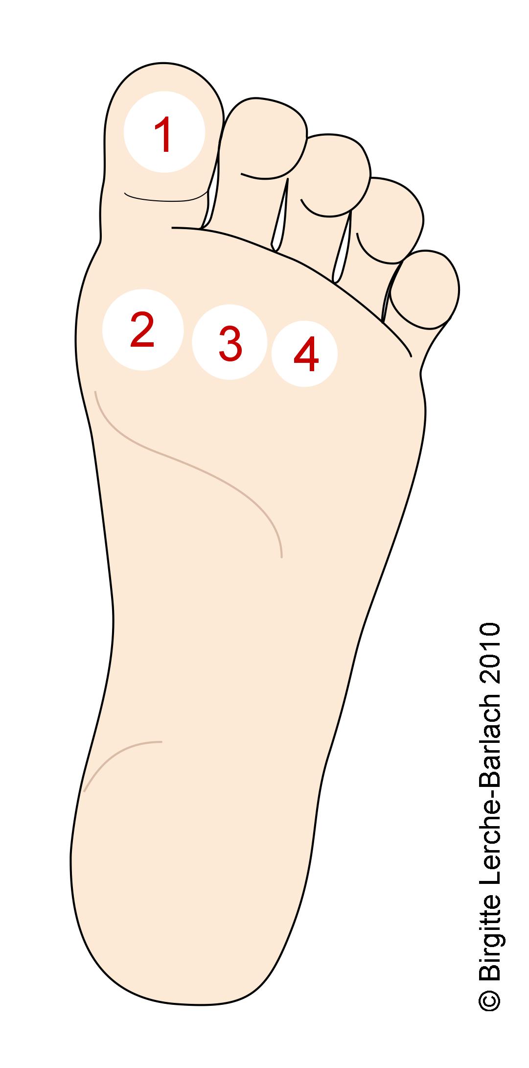 Monofilament og testpunkter - Patienthåndbogen på sundhed.dk